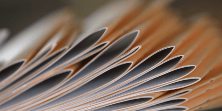 Guide to Arranging Pages for Booklet Printing: Types & Tips