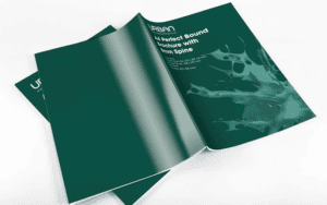 Glossy vs. Matte Paper: Pros, Cons, and How to Choose