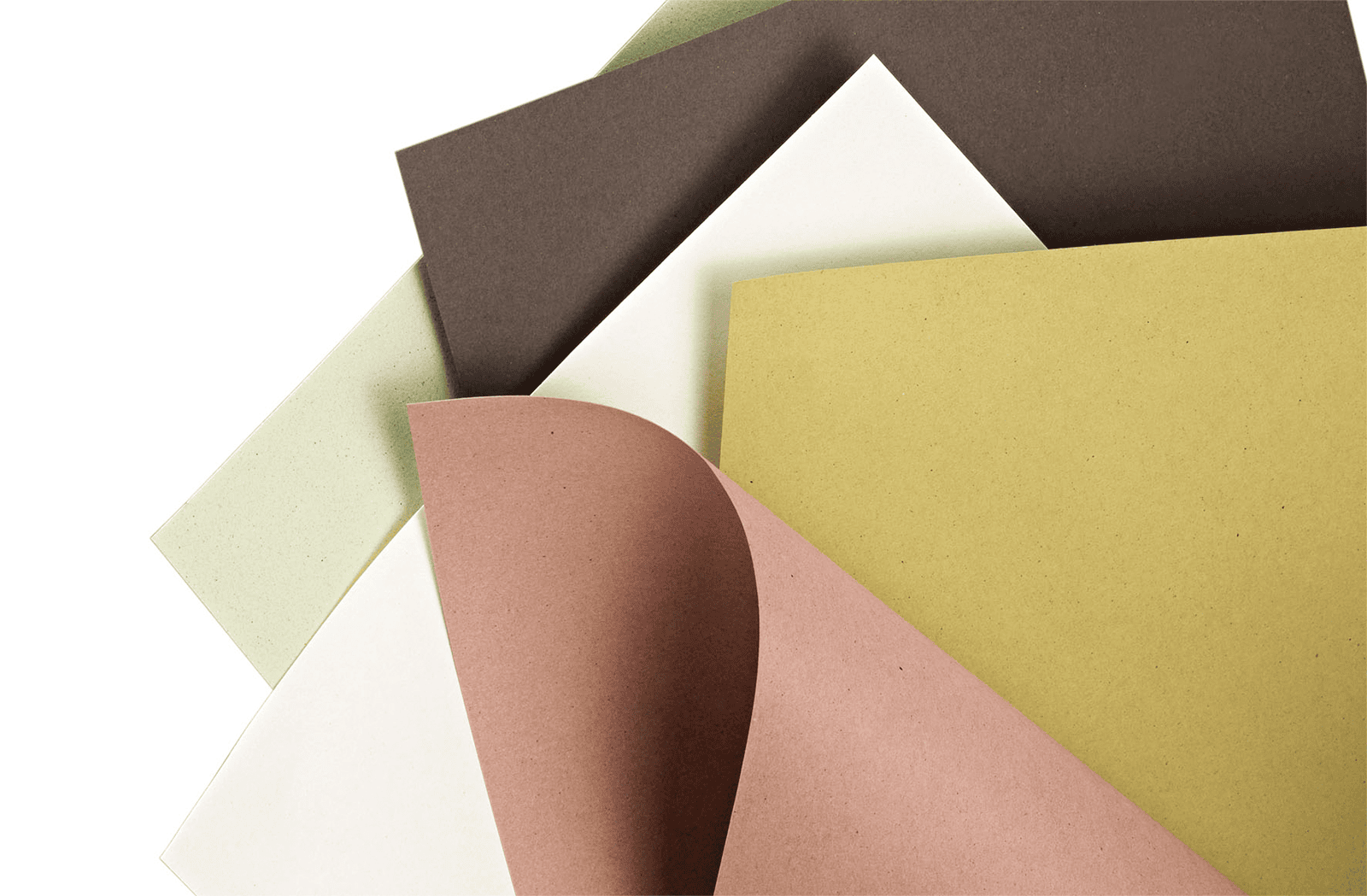 Eco-Friendly Paper vs. Recycled Paper: What's the Difference?