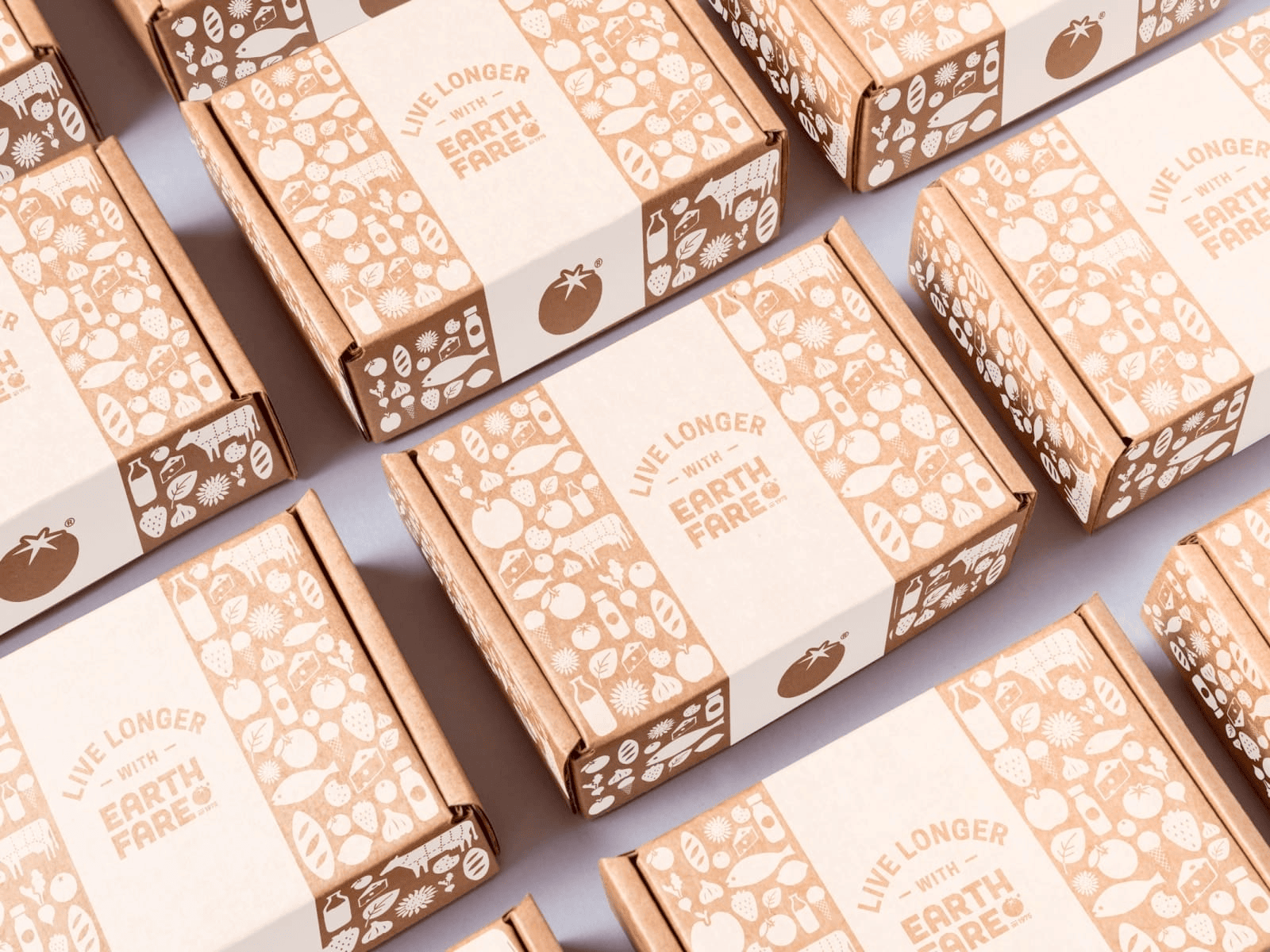 Carton Packaging: Types, Materials, and Uses Explained