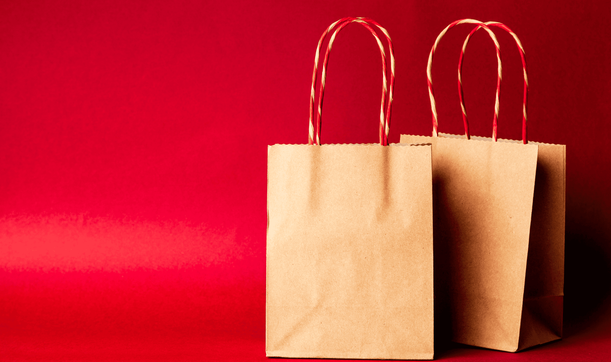 Fashion and Function: Stylish and Durable Paper Bag Designs for Retail ...
