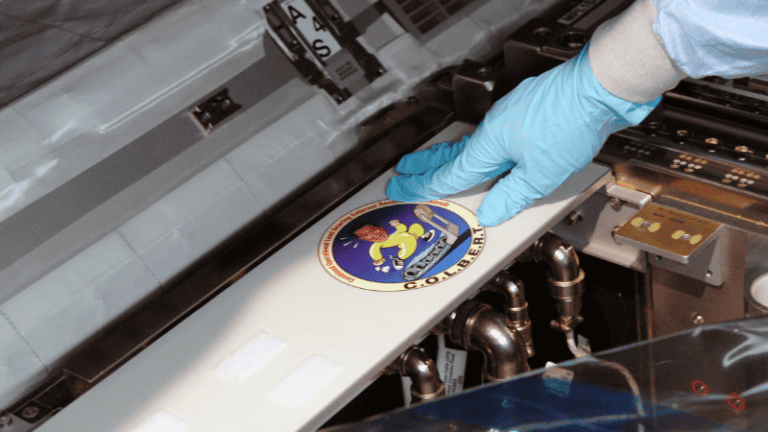 Decals vs. Stickers: What's the Difference & How to Use?