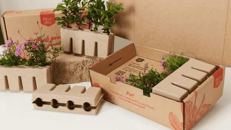 How to Ship Live Plants Safely: Packaging Tips & Couriers