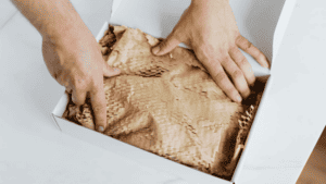 How to Ship Live Plants Safely: Packaging Tips & Couriers